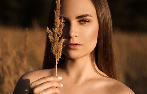Download Wallpaper Field Look The Sun Nature Face Pose Model