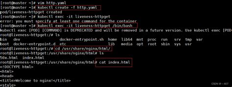Kubernetes（k8s）pod 探针检测健康检测delay Csdn博客