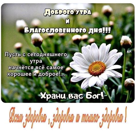Пожелания Благословенного Дня И Доброго Утра В Картинках Лучшая Фото