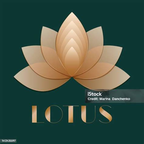골드 로터스 꽃 로고 아이콘 흰색 배경에 인사말 카드 벡터 일러스트레이션 로고에 대한 스톡 벡터 아트 및 기타 이미지 로고 연꽃 일러스트레이션 Istock