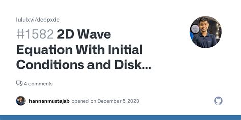 2d wave equation with initial conditions and disk deformity · issue