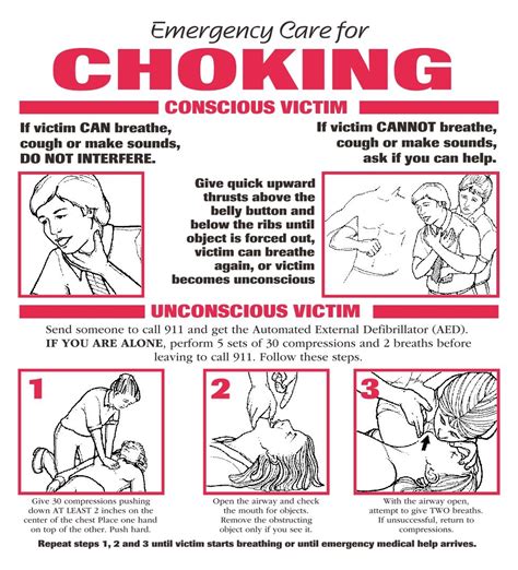 10 best first aid choking poster printable – Artofit