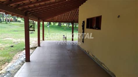 Fazenda à venda no Pará Paragominas ha Agroportal