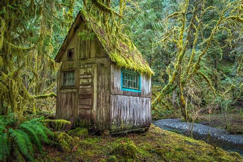 Somerset House Images Washington State Olympic National Park Tolkien Like Abandoned Cabin