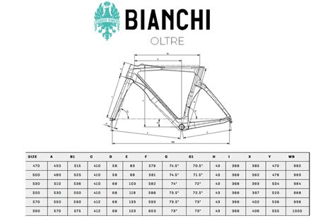 Bianchi Oltre Comp Shimano Ultegra R8170 Di2 12s Peruffo Cicli