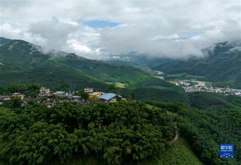 国道之行 从雪山奔向大海丨重返丛林 感受苦聪人的“一步千年” 新华网客户端