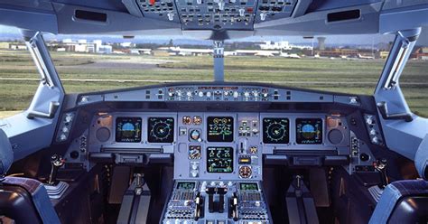 Great Bustards Flight El Sistema Efis Electronic Flight Instrument