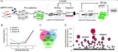 Crispr Screen 原理 Feno