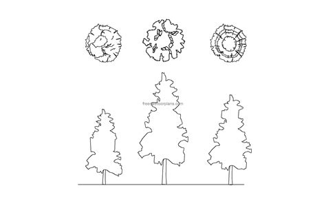 Pine Trees Autocad Block Plan Elevation Free Cad Floor Plans