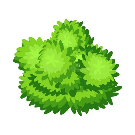 Isolated Object Of Tree And Bush Logo Collection Of Tree And Green