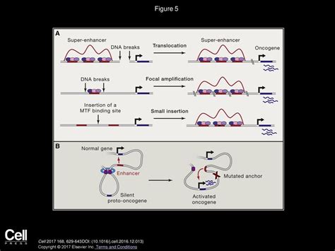 Transcriptional Addiction In Cancer Ppt Download