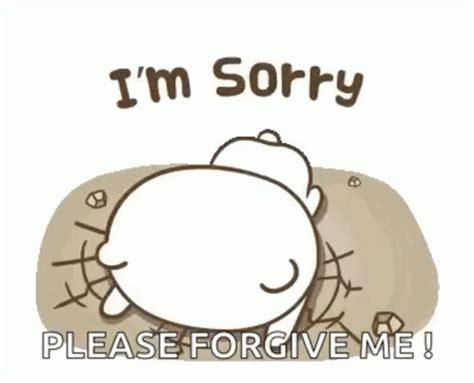 Sorry Cute Bow Gifdb