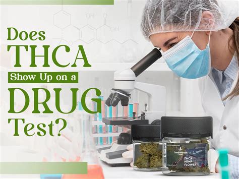 Does Thca Fail A Drug Test