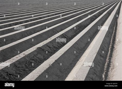 Terres Agricoles Nues Dans Les Pays Bas En Attente Pour Le Printemps