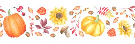 수채화 가을 완벽 한 테두리 와 해바라기 낙엽 흰색 배경에 딸기 추수 감사절 날 장식 인사말 카드 스크랩북 수확일 패턴입니다 가을 휴가 0명에 대한 스톡 벡터 아트 및 기타
