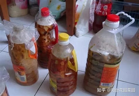 4种自制有机肥肥的流油不用买花肥养花一级棒 知乎