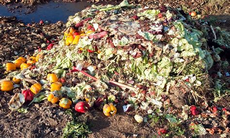 Agro Based Industries Raw Materials