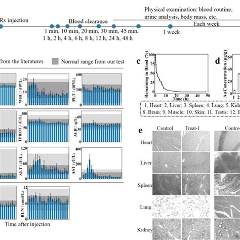 A Timeline Of The Peg Gnrs Injection And Toxicity Evaluations In Macaca