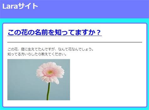 Laravel6チュートリアル：画像投稿機能を作って投稿に表示させよう！ ネビ活 ネットビジネス生活