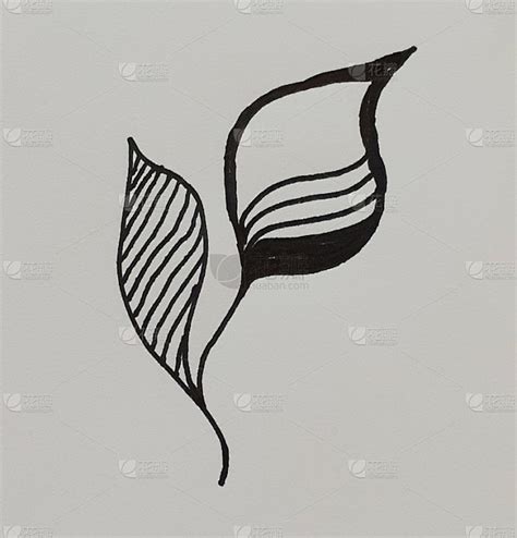 抽象的黑白树叶图案