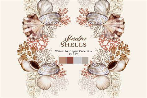 Digital Seashells Clipart
