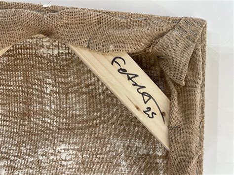 Federico Arcuri Artista Contemporáneo De La Memoria Urbana La Luz Y