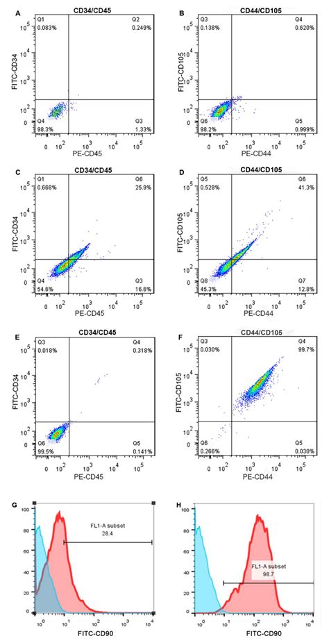 Magnetic Activated Cell Sorting Strategies To Isolate And Purify Synovial Fluid Derived