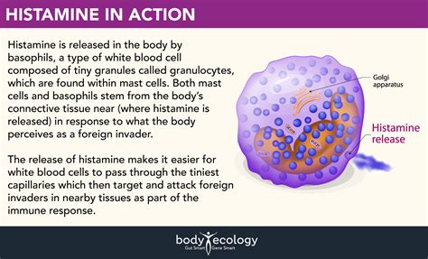 Managing Histamine Intolerance Body Ecology