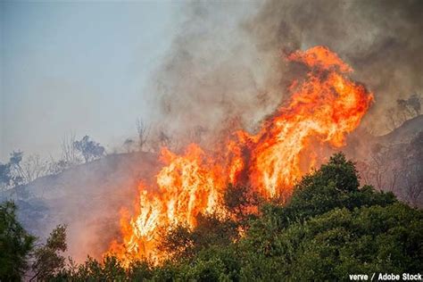 インドネシアの森林火災の原因は？大気汚染も大きな問題に！