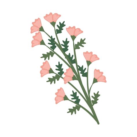 Brook Pimpernel Vectors And Illustrations For Free Download Freepik