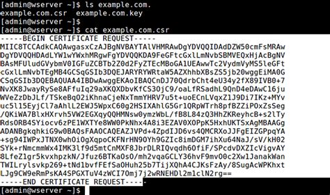 Cómo Generar Una Csr Solicitud De Firma De Certificado En Linux