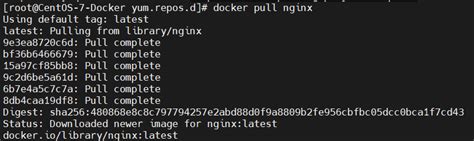 Docker从入门到精通之docker常用命令docker Find和docker Search Csdn博客