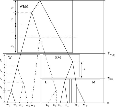 An Example Of Hybrid Coalescent Processes In A Population Tree With