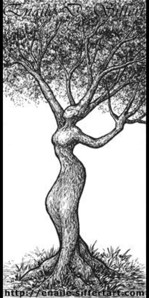 Tree Of Wisdom Drawing Mother Nature Tree Drawing