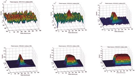 Fluorescence Images From The Column Region After Afp Assays Have Been