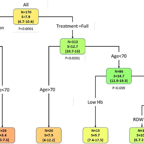 Primary Stratification Tree Which Presents Cohorts Prognosis Each