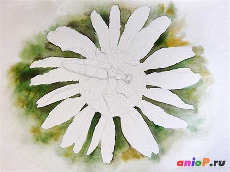 Как нарисовать жука акварельными карандашами — Уроки рисования карандашами и пастелью