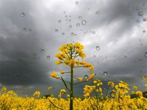 Wettervorhersage aktuell für Baden Württemberg News lokalmatador