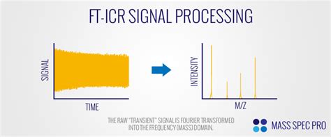 Fourier Transform Ion Cyclotron Resonance Ft Icr Mass Spec Pro