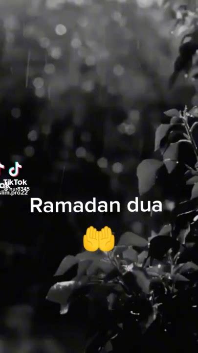 Mohamed Rizwan Mohamed Lebbe Posted On Linkedin