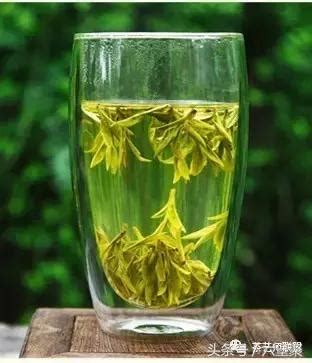茶學堂幾張圖教你看懂中國六大茶類的工藝區別 每日頭條
