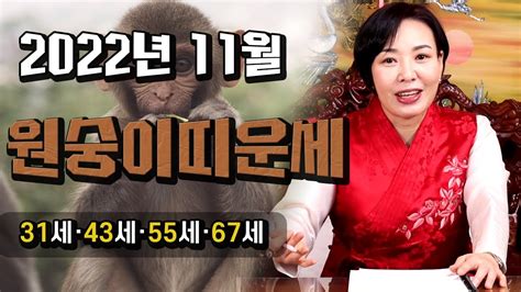 도연사 2022년 11월 원숭이띠 운세 🐵 31세·43세·55세·67세 미리 조심하시고 대박나세요😊 Youtube