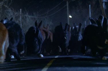 Scene From Night Of The Lepus Great Old Horror Movie King Kong
