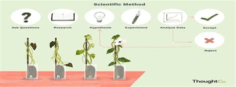 Induction Science Online