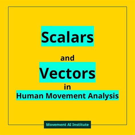 sina mehdiz phd on linkedin 💡 understanding scalars and vectors in