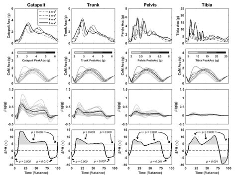 Spm1d Regression Analysis Of The Run Task For The Four Body Worn Download Scientific Diagram