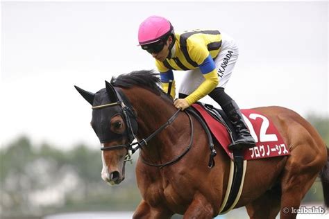 【金鯱賞】2年続けて連対中！黄金級の成績を誇る「金鯱賞マイスター」とは 競馬ニュース 競馬ラボ