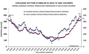 Hydrocortisone Regime Gails Story Pituitary Foundation