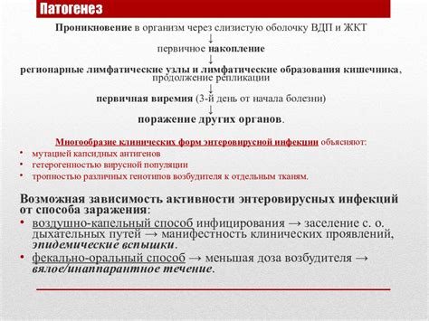 Энтеровирусные инфекции вирусы Коксаки и Echo — презентация