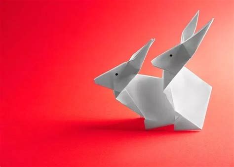 Nữ Sinh Lớp 7 Xuất Hiện Trên Thời Sựn Bỗng Trở Thành Tiêu điểm Của Sex